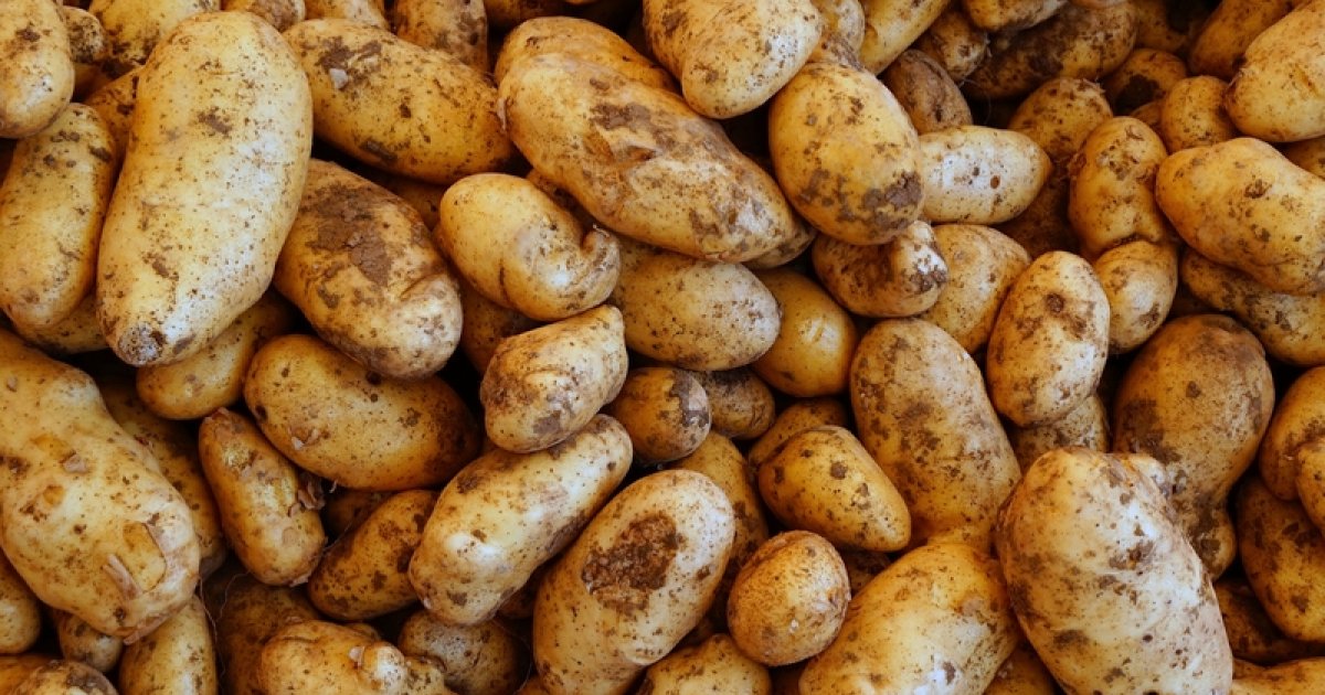 New Potatoes | Ground Gourmet Essentials